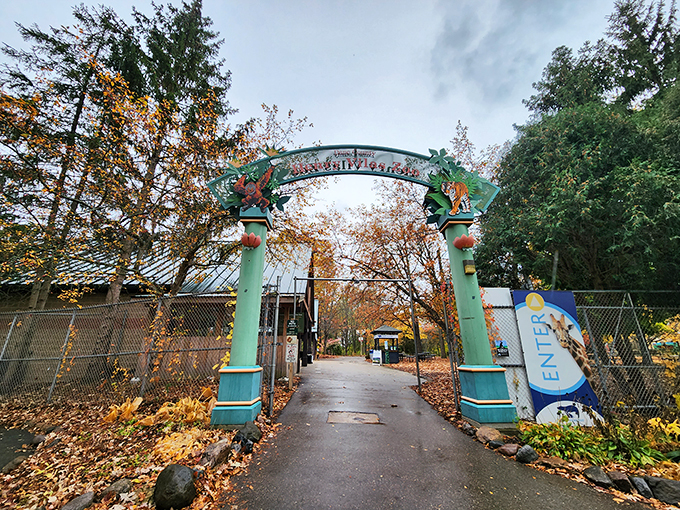 Fall into a world of wonder at Henry Vilas Zoo. It's like stepping into a real-life "Madagascar," but with fewer dance numbers.