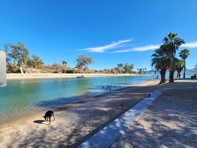 From Route 66 to Piccadilly Circus &ndash; your road trip just got an international twist!