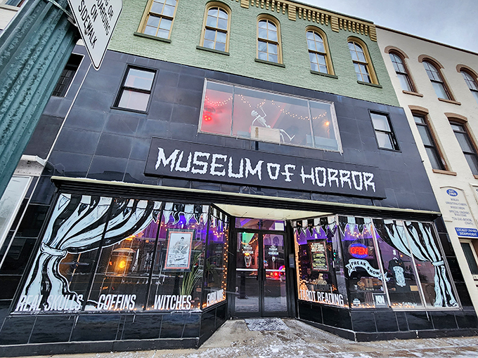 Cruise into the world of weird science. It's a pit stop your high school biology teacher would approve!