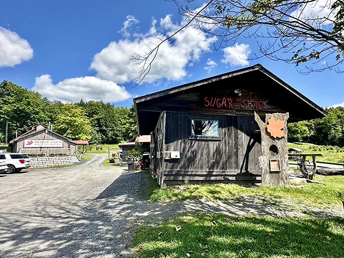 Sugar shack or rustic chic retreat? Morse Farm's quaint building could double as a cozy Airbnb for maple enthusiasts.