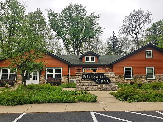 Nature's own walk-in cooler awaits! Descend into a 48-degree wonderland where limestone whispers tales of ancient seas.