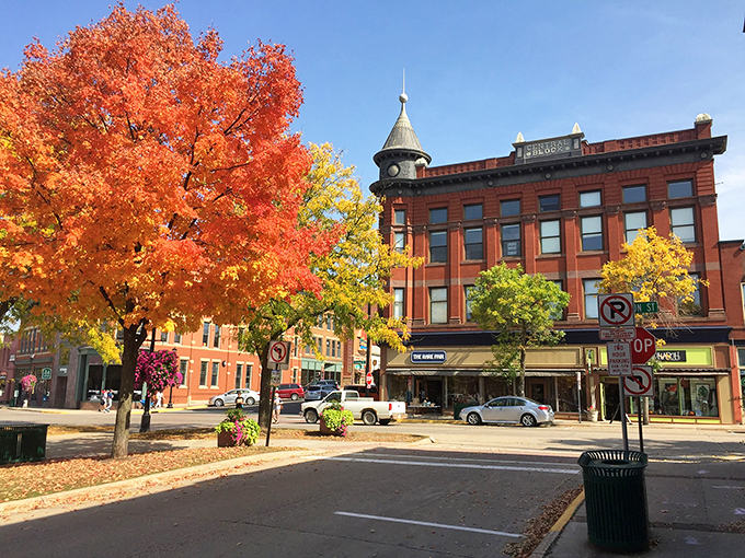 Fall in love with Northfield's autumn splendor. These trees are putting on a show that rivals Broadway &ndash; no ticket required!