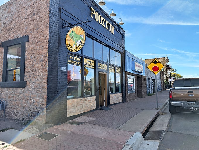 Step into a world where coprolites are king. The Poozeum: Proving that even dinosaurs had 'number two' on their to-do lists!