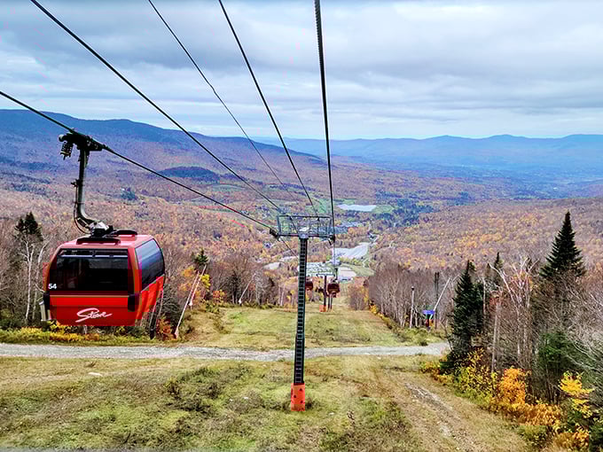 Stowe's gondola: Your ticket to cloud nine! Glide up to breathtaking vistas that'll make your heart soar higher than the lift.