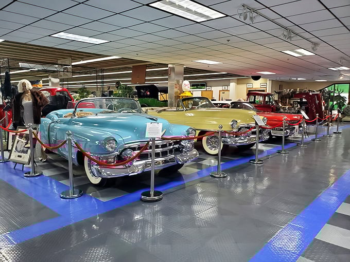 From Model Ts to muscle cars, this museum's got more horsepower than a Kentucky Derby. Giddy up, gearheads!