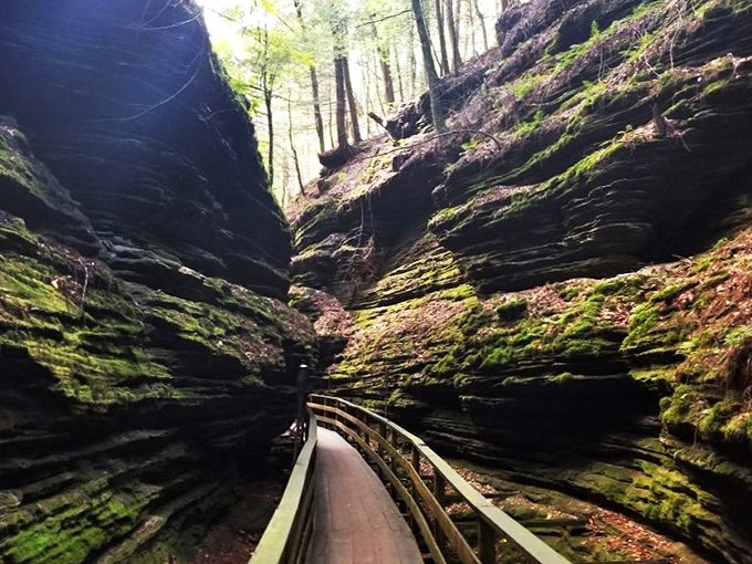 Moss-covered walls whisper ancient secrets as you navigate wooden walkways through this enchanting gorge.