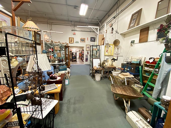 Step into a kaleidoscope of memories! These carefully curated shelves are like a game of "I Spy" for grown-ups, each item whispering tales of yesteryear.