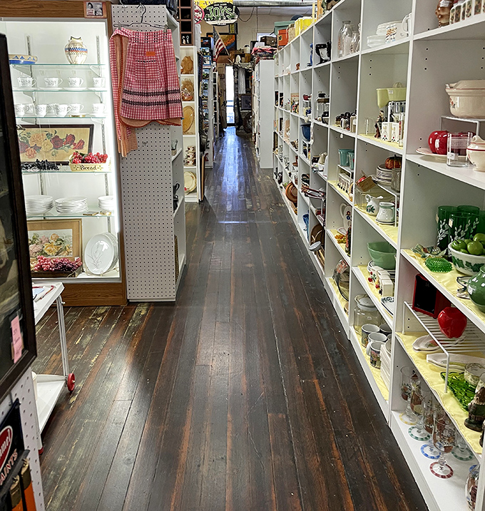 Aisle be back! Narrow pathways flanked by carefully curated shelves invite you to lose yourself in a labyrinth of memories.