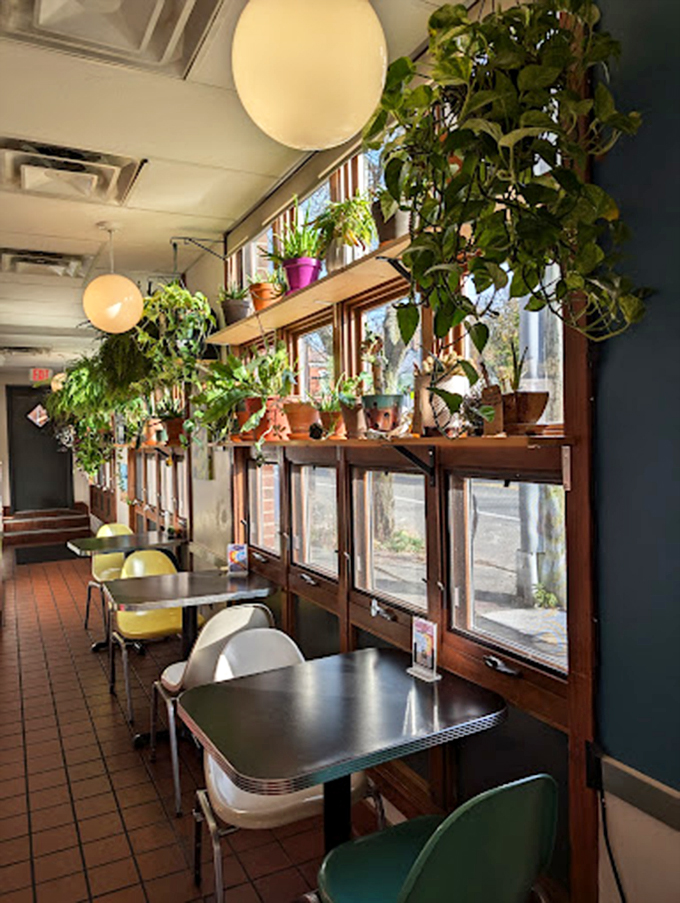 Jungle meets diner in this green oasis. You'll feel like you're dining in a trendy treehouse, minus the risk of falling out.