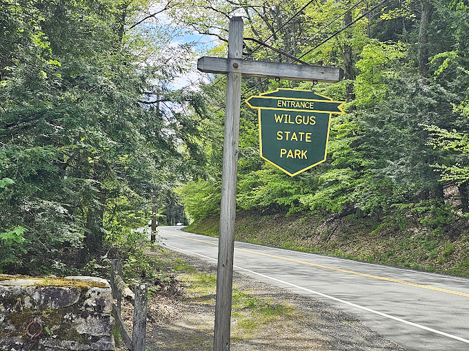 "Entrance to paradise," the sign should read. Wilgus State Park welcomes you with a promise of adventure and a dash of Green Mountain magic.