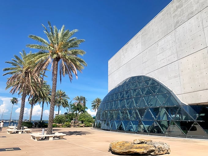 Palm trees and paradoxes collide at The Dalí Museum's entrance. It's like Florida and Figueres had a lovechild, and it's absolutely fabulous!