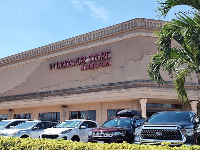 Forget beach umbrellas - here, palm trees and prehistoric beasts share the spotlight. Talk about a unique Florida welcome!