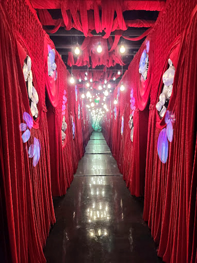 "Down the rabbit hole we go! This crimson corridor could be the set of a Tim Burton fever dream or your next album cover."