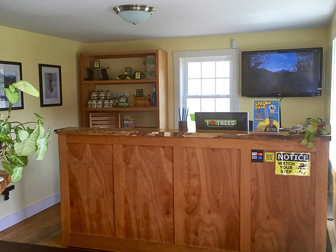 Welcome to the treehouse of your dreams! This cozy reception area is where your journey from earthbound to sky-bound begins.