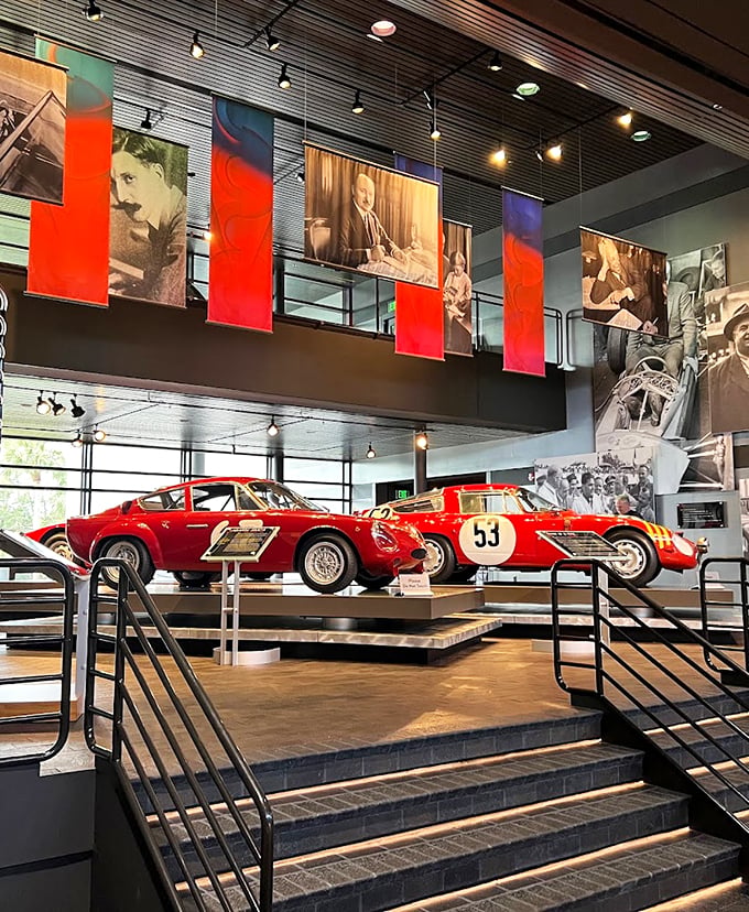 Red-hot racers that'll make your heart rev! These scarlet speedsters aren't just cars; they're time machines zooming us back to the golden age of racing.