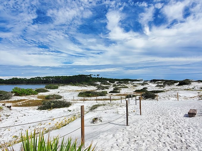 Dunes that whisper secrets: A landscape straight out of a desert mirage, but with a refreshing ocean breeze. Nature's sandbox meets watercolor sky.