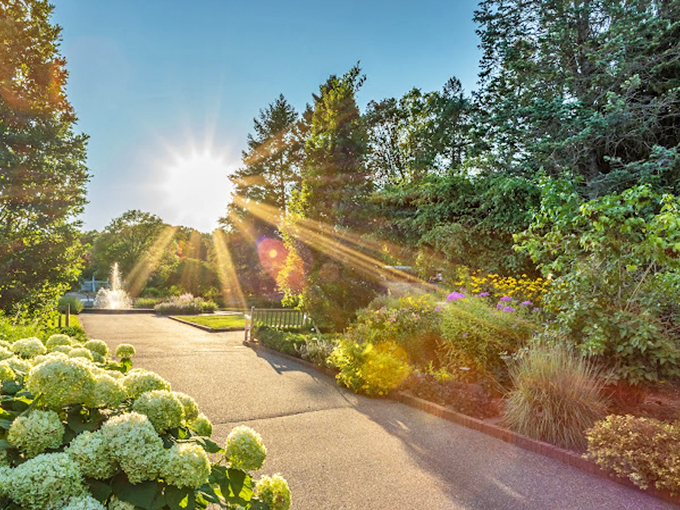 Golden hour magic! The sun's rays play hide-and-seek through the trees, turning this garden into a real-life fairytale.