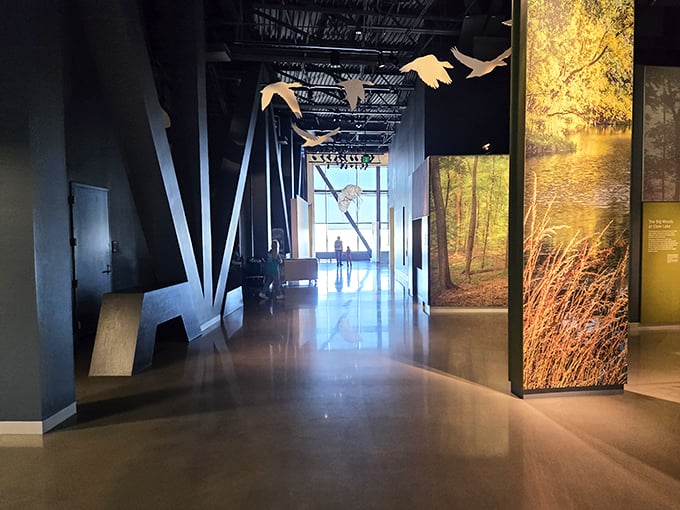 Step into a world where science meets wonder. This corridor feels like the gateway to a thrilling journey through time and space.