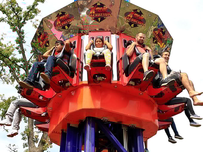 Defying gravity and good sense, these thrill-seekers are living proof that age is just a number &ndash; a very dizzy number.