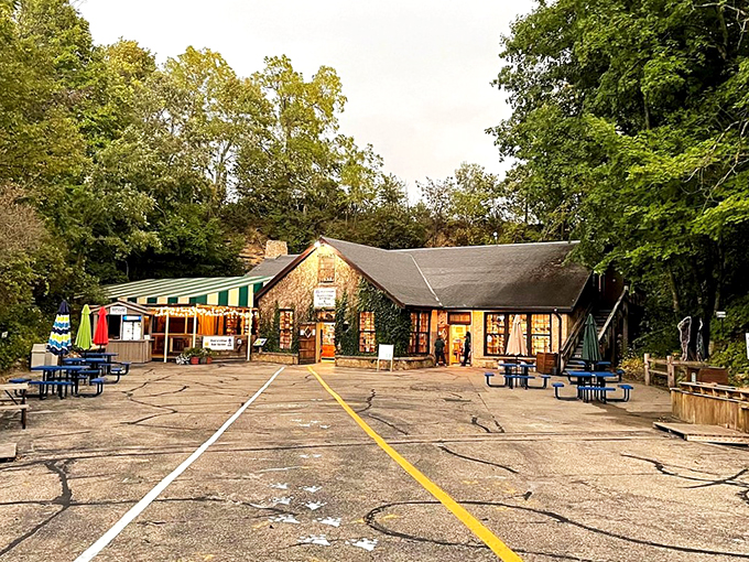 Forget the yellow brick road &ndash; this charming stone cottage is your gateway to an underground Oz. Just don't expect any flying monkeys!