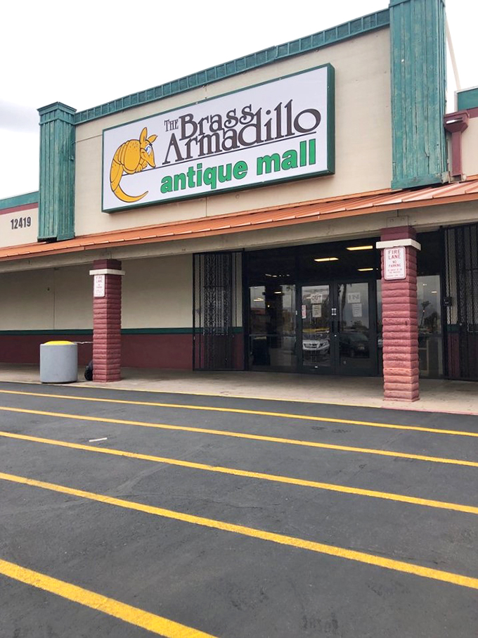 "Armadillo crossing!" This isn't your average desert critter, but the guardian of countless treasures waiting to be discovered inside.