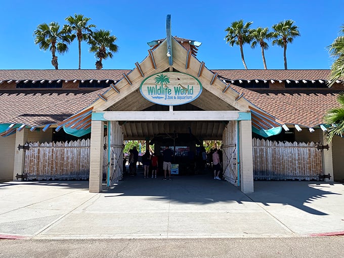 Step right up! The Wildlife World Zoo's inviting entryway is your portal to a world of exotic wonders.