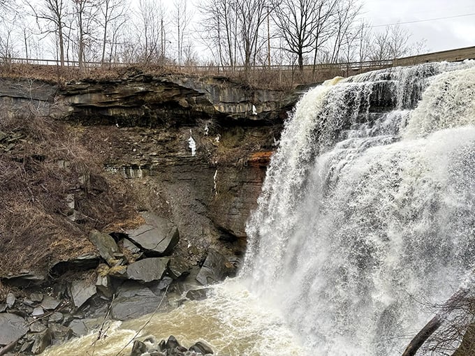 Talk about a power shower! This close-up reveals the raw force of Brandywine Falls, sculpting the landscape one water droplet at a time.