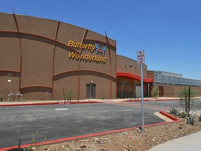 Curves in all the right places! This building's design is as fluid and graceful as the creatures it houses.