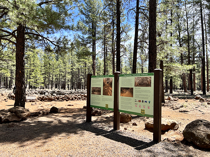 Mother Nature's own "You Are Here" sign. Who knew lava could be so informative? It's like Google Maps, but with more rocks and fewer ads.
