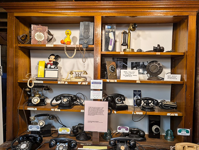 From Mickey Mouse to Big Bird, this delightful display shows how telephones became beloved characters in our homes.