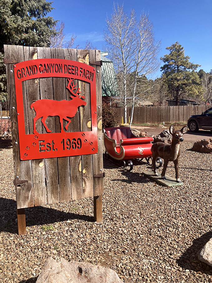 Welcome to where the deer and the antelope play... and pose for selfies! This rustic sign sets the stage for a wild adventure.