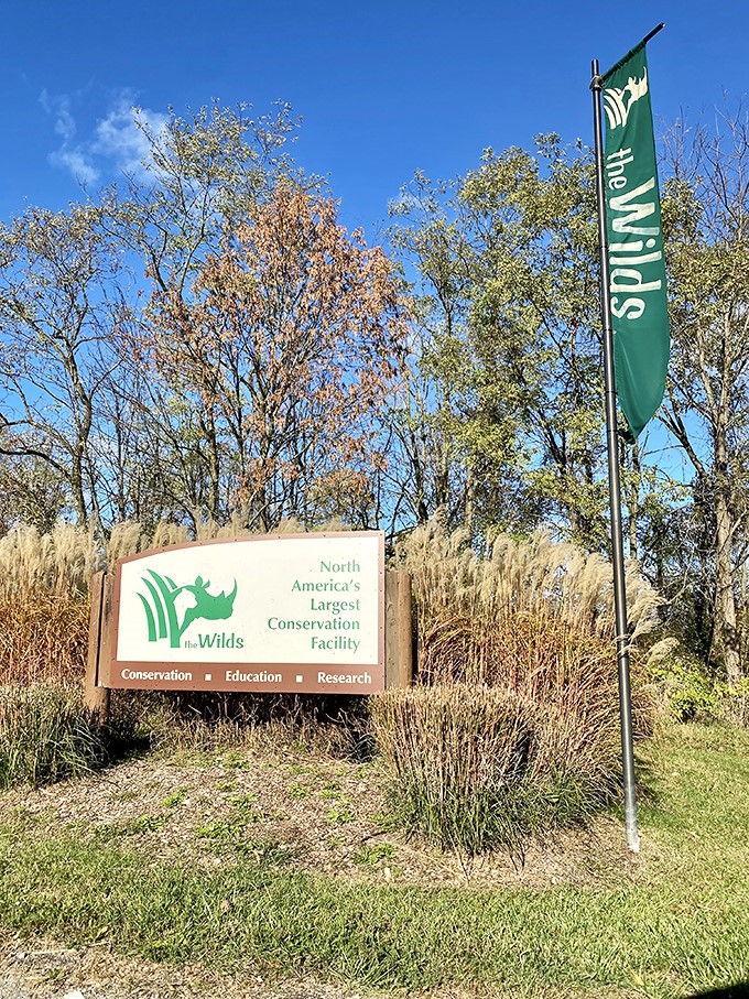 "Move over, Serengeti! The Wilds is staking its claim as North America's answer to African adventures, minus the jet lag."