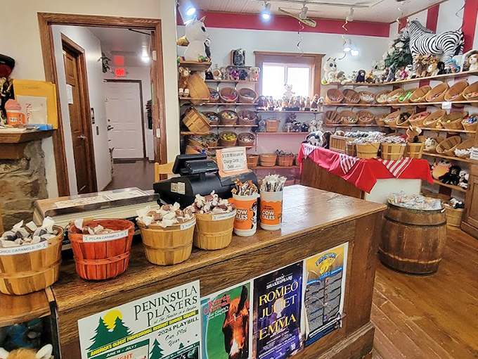 Candy Land come to life! This interior view showcases a treasure trove of treats, from nostalgic favorites to quirky newcomers. It's a sugar rush waiting to happen.