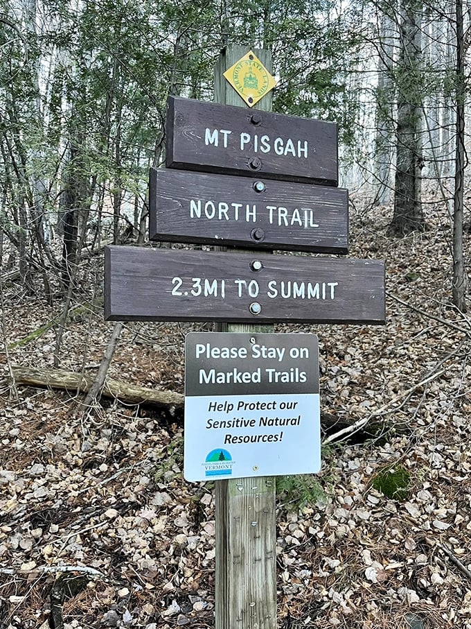 "2.3MI TO SUMMIT" - the trail sign's way of saying, "Buckle up, buttercup, you're in for a wild ride!"