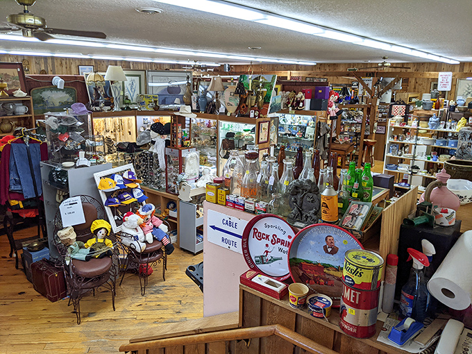 Treasure hunters, prepare yourselves! This isn't just a display case; it's a cornucopia of curiosities that would make Indiana Jones jealous.