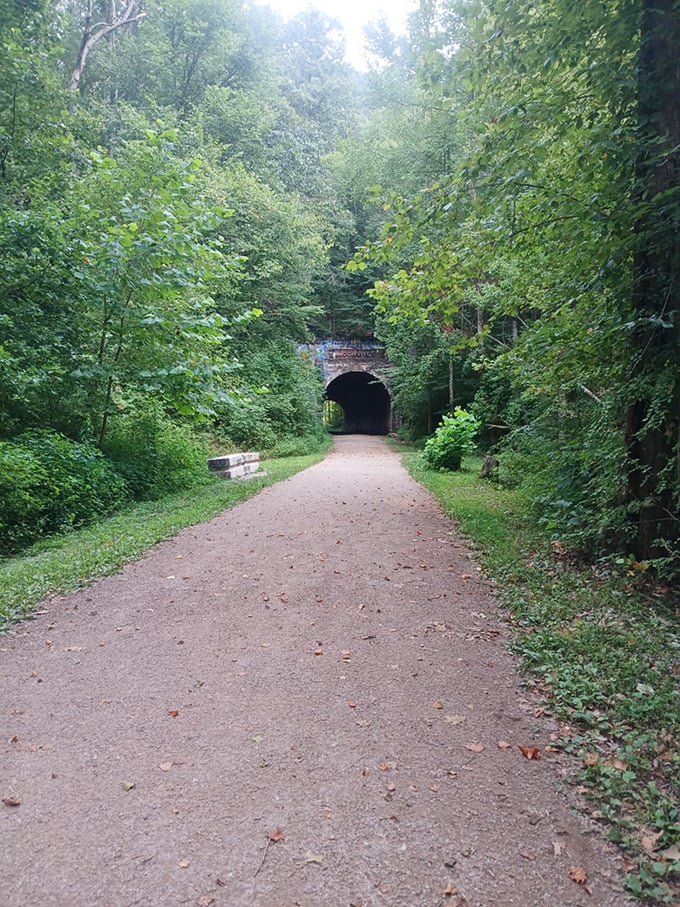 A leafy welcome committee: The tunnel peeks out from its forest hideaway, as if playing an eternal game of hide-and-seek with visitors.