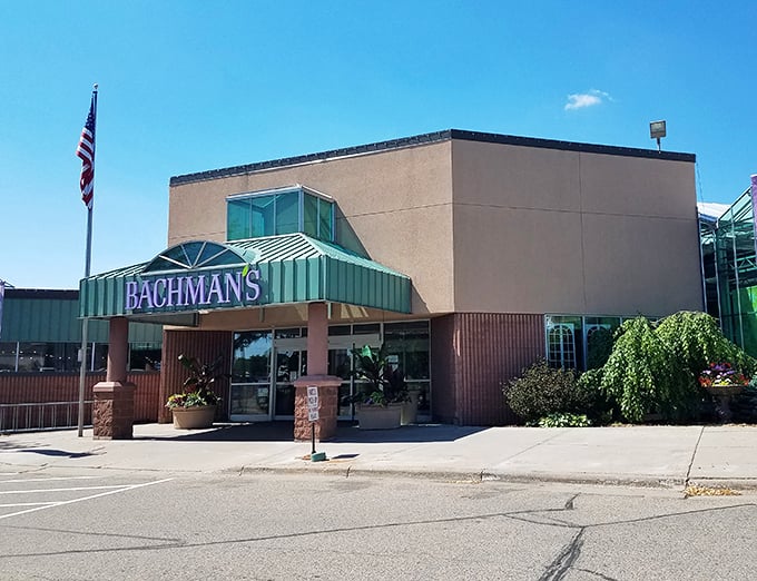 Step right up to the green carpet! Bachman's entrance is the gateway to a world where your wallet magically transforms into beautiful blooms and lush foliage.