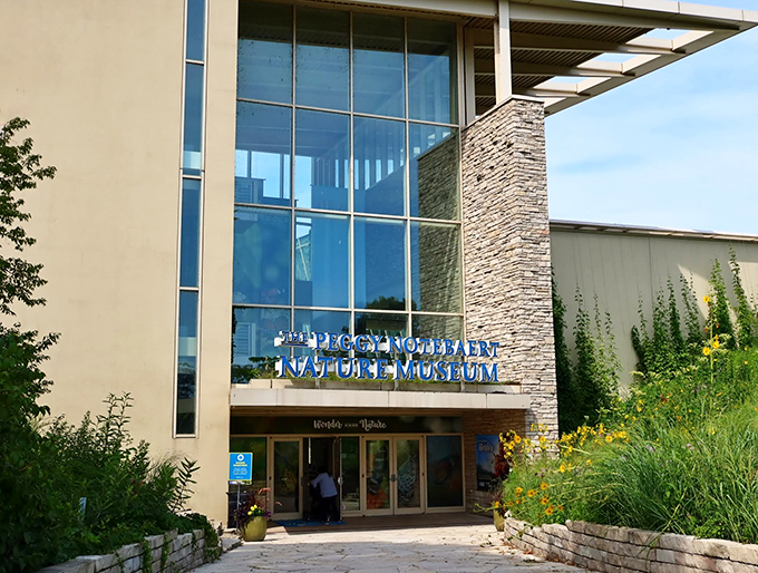 "Welcome to the butterfly zone!" The entrance invites visitors into a world where nature and architecture dance in perfect harmony. It's like stepping into a sci-fi movie, but with more wings.