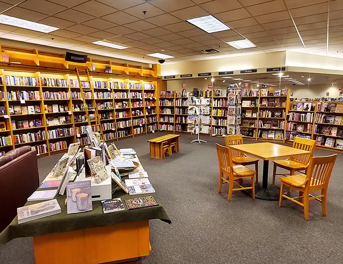 Bookworms, rejoice! This cozy nook is where stories come alive and reading dreams take flight.