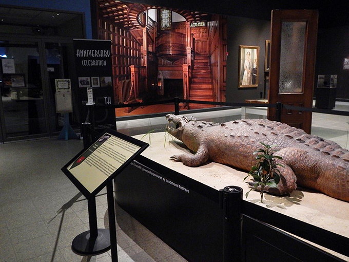 "Step into a time capsule of wonder!" This exhibit transports you to a bygone era, complete with vintage stairs that would make Indiana Jones feel right at home.