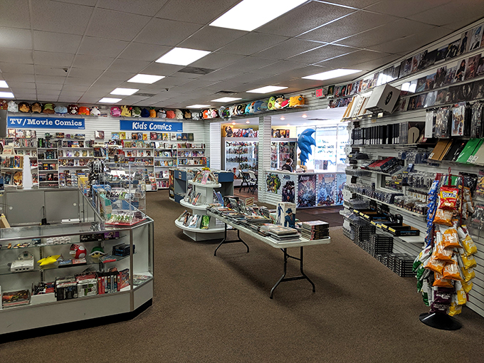 Step inside and prepare for sensory overload! Fanfare's interior is a kaleidoscope of pop culture, where every shelf tells a story.