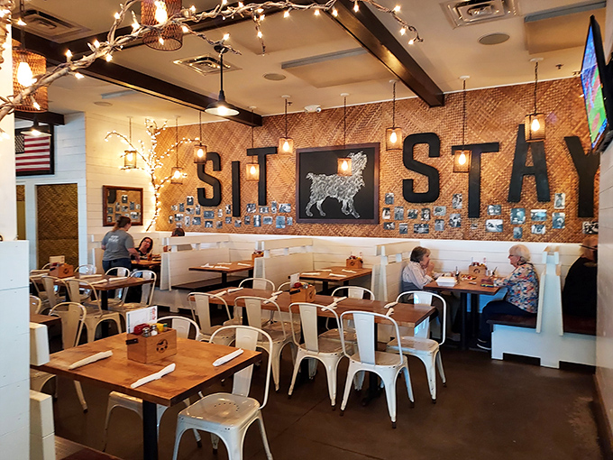 Step into a world where "Sit" and "Stay" aren't just commands for dogs &ndash; they're invitations to indulge in comfort food heaven.