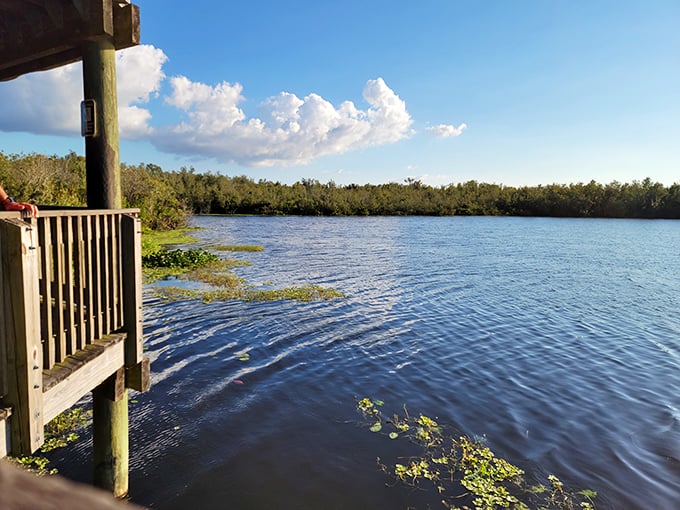 Mirror, mirror on the water: Sawgrass Lake reflects the sky like nature's own Instagram filter. #NoFilterNeeded