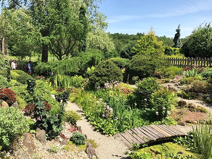 Who needs a yellow brick road when you've got this magical path? Winding through a tapestry of colors, it's like walking through a living Monet painting.