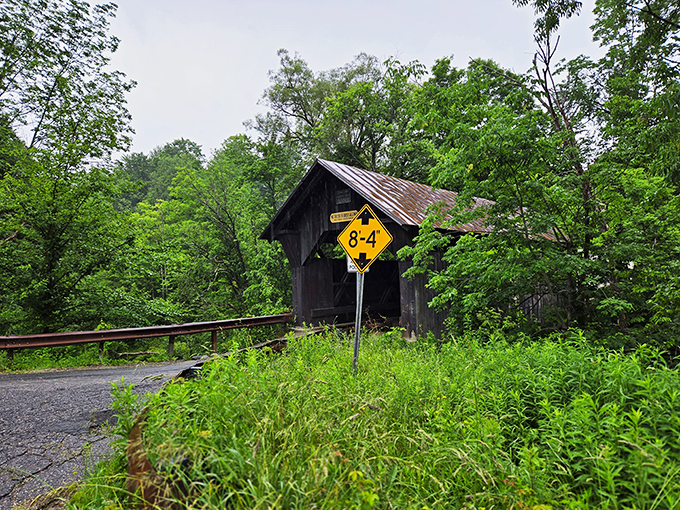 Nature's photo booth: Where lush greenery frames a bridge that's seen more seasons than a binge-worthy Netflix series.