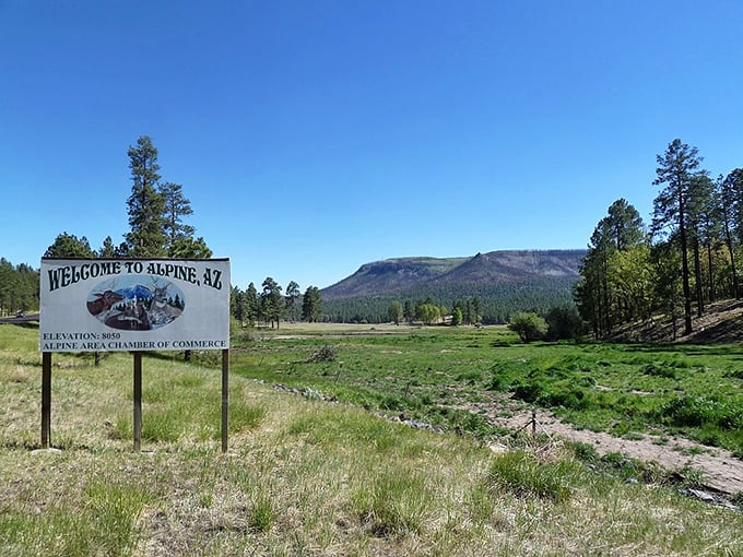 "Welcome to Alpine" &ndash; where the air is crisp, the views are endless, and your worries shrink faster than your cell phone signal.