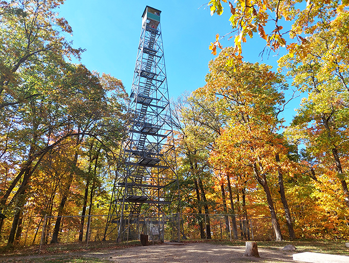 Stairway to heaven or leg day nightmare? This fire tower promises breathtaking views for those brave enough to tackle its dizzying heights.
