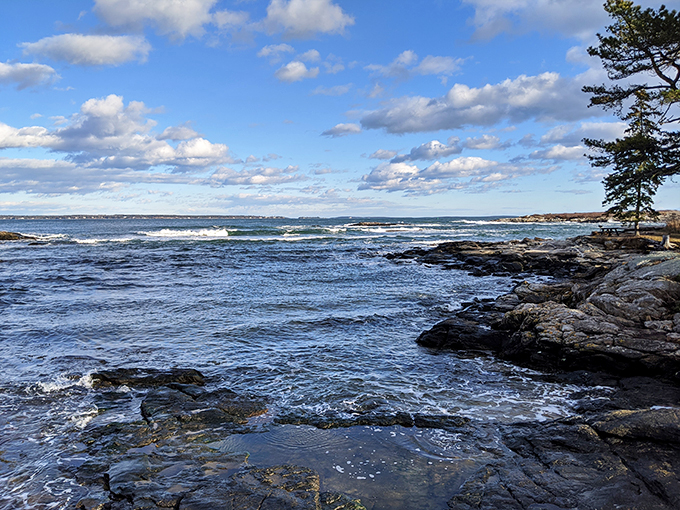 Nature's own wave machine in action! These rolling beauties are better than any theme park ride – and way more refreshing.