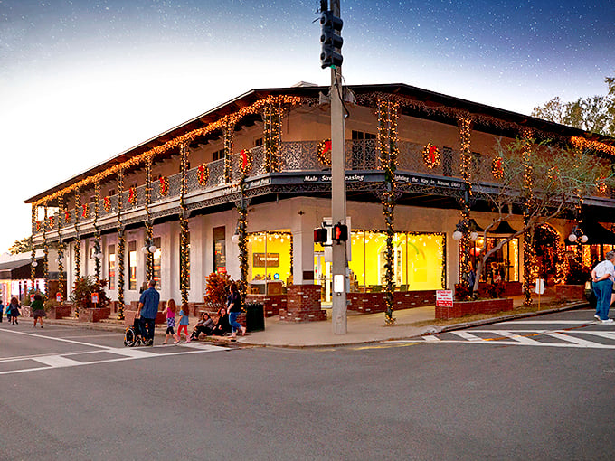 Strings of lights and festive cheer transform Mount Dora into a cozy Christmas village. It's like someone sprinkled holiday magic on a postcard-perfect town.