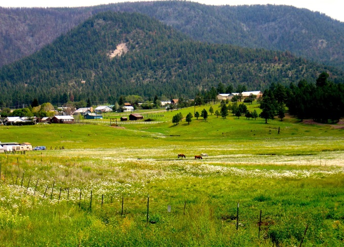 Swiss miss? Nope, just Alpine, Arizona &ndash; where the road leads to unexpected alpine charm.